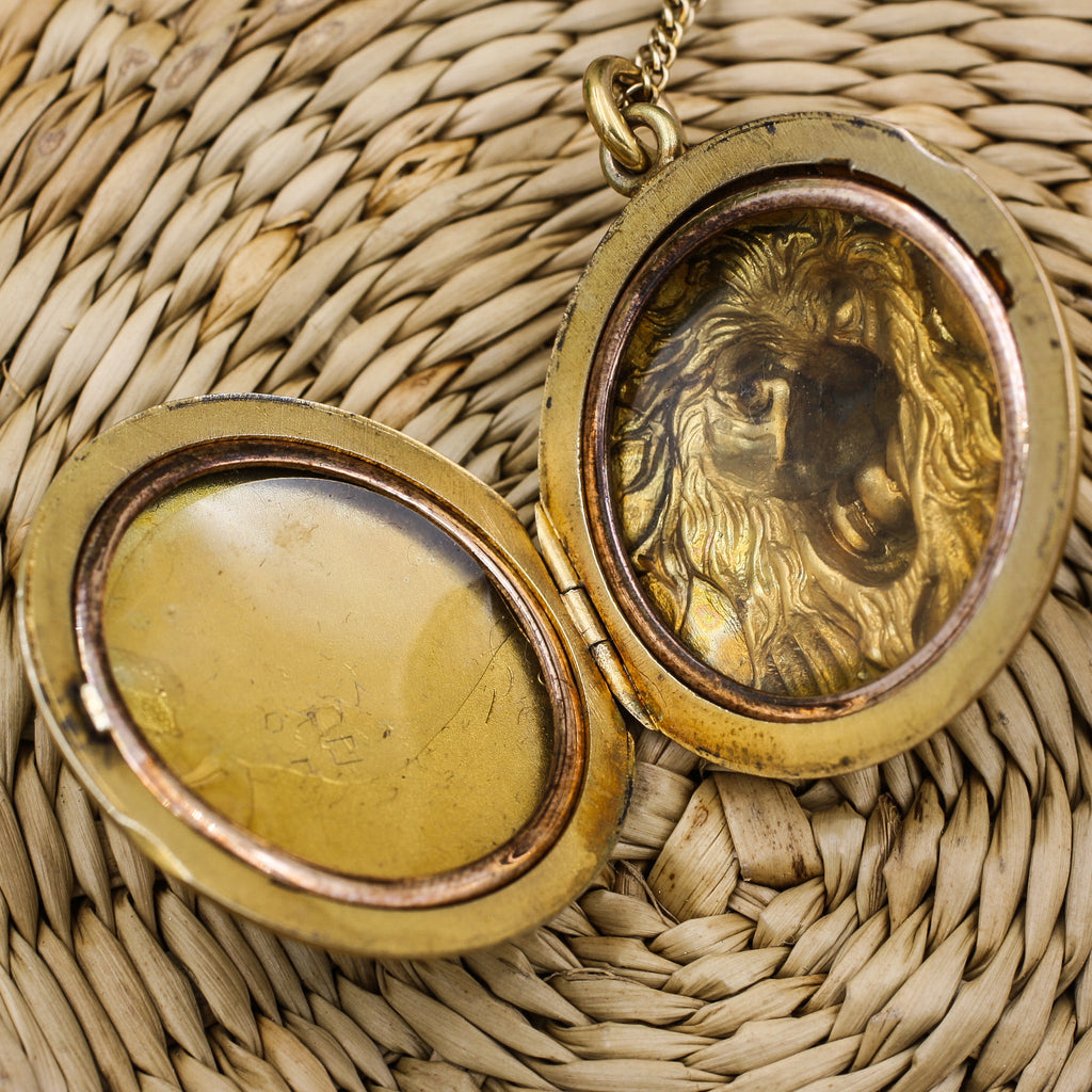 c1880 Rare Gold-filled and Paste Lion Locket – Pippin Vintage Jewelry